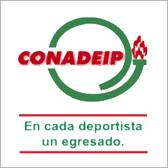 LOS REMOLINOS DE MI MENTE